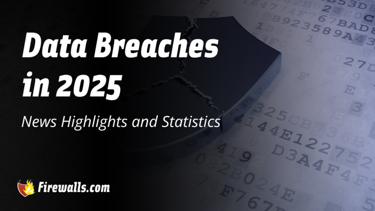 Data Breaches 2025: A Look Into Highlights and Statistics - Firewalls.com